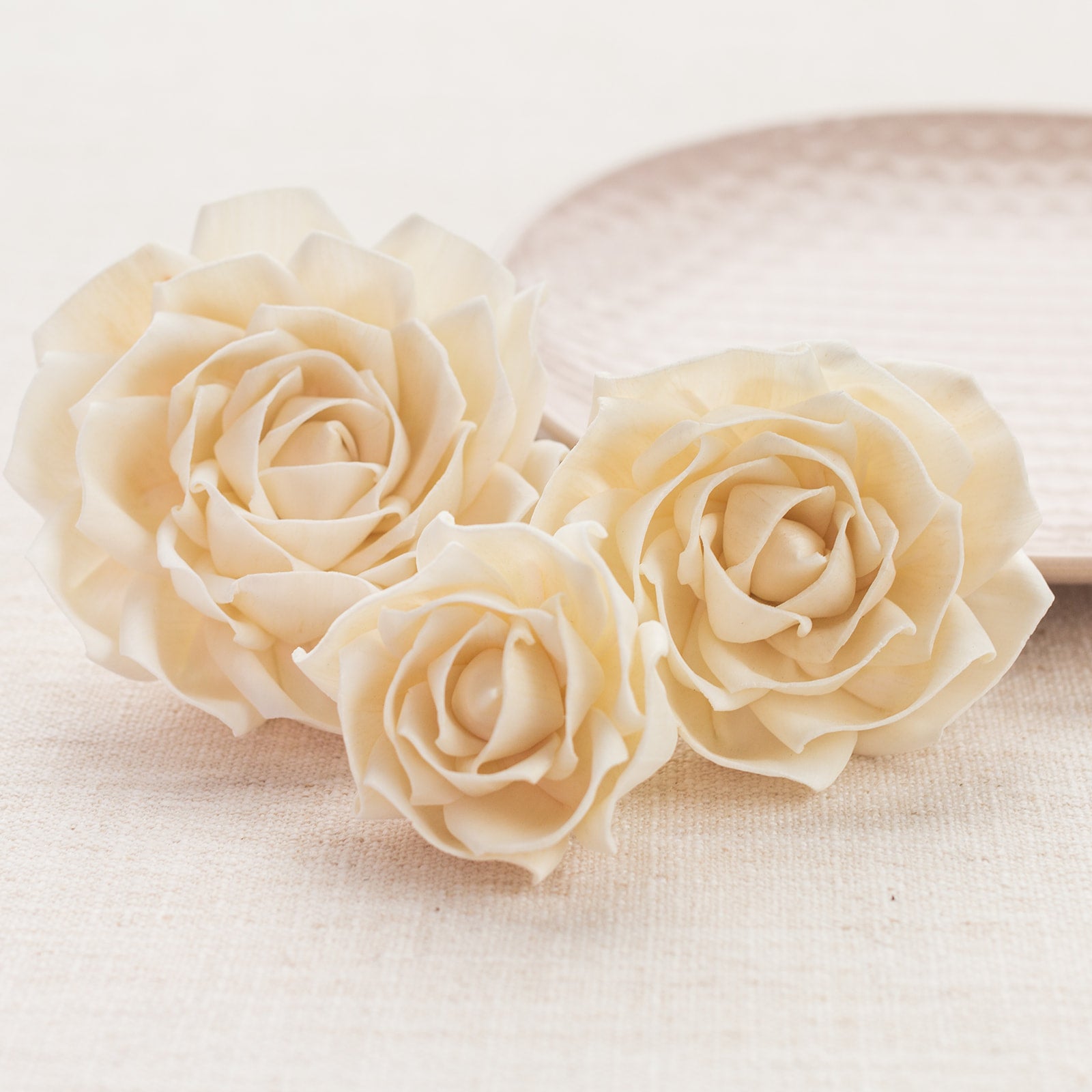 Tea Rose LOL – Sola Sister Co.