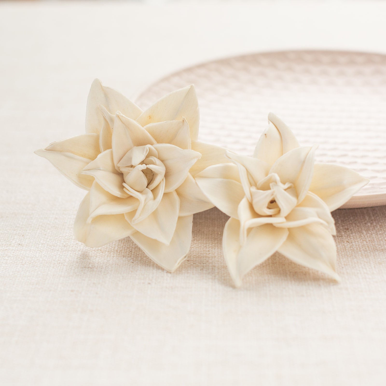 Firefly LOL – Sola Sister Co.