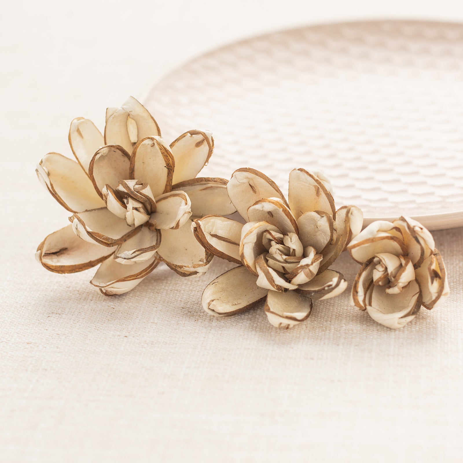 Tipsy Bloom LOL – Sola Sister Co.