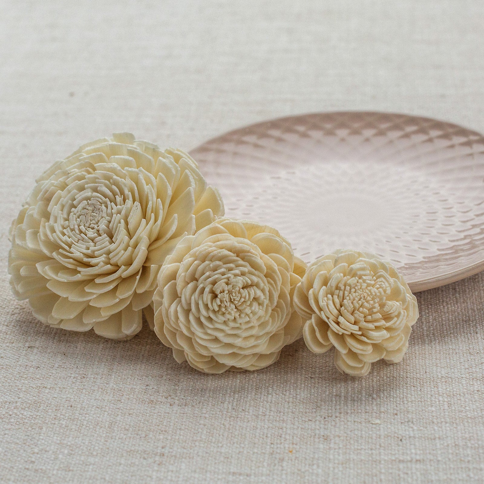 Bali LOL – Sola Sister Co.