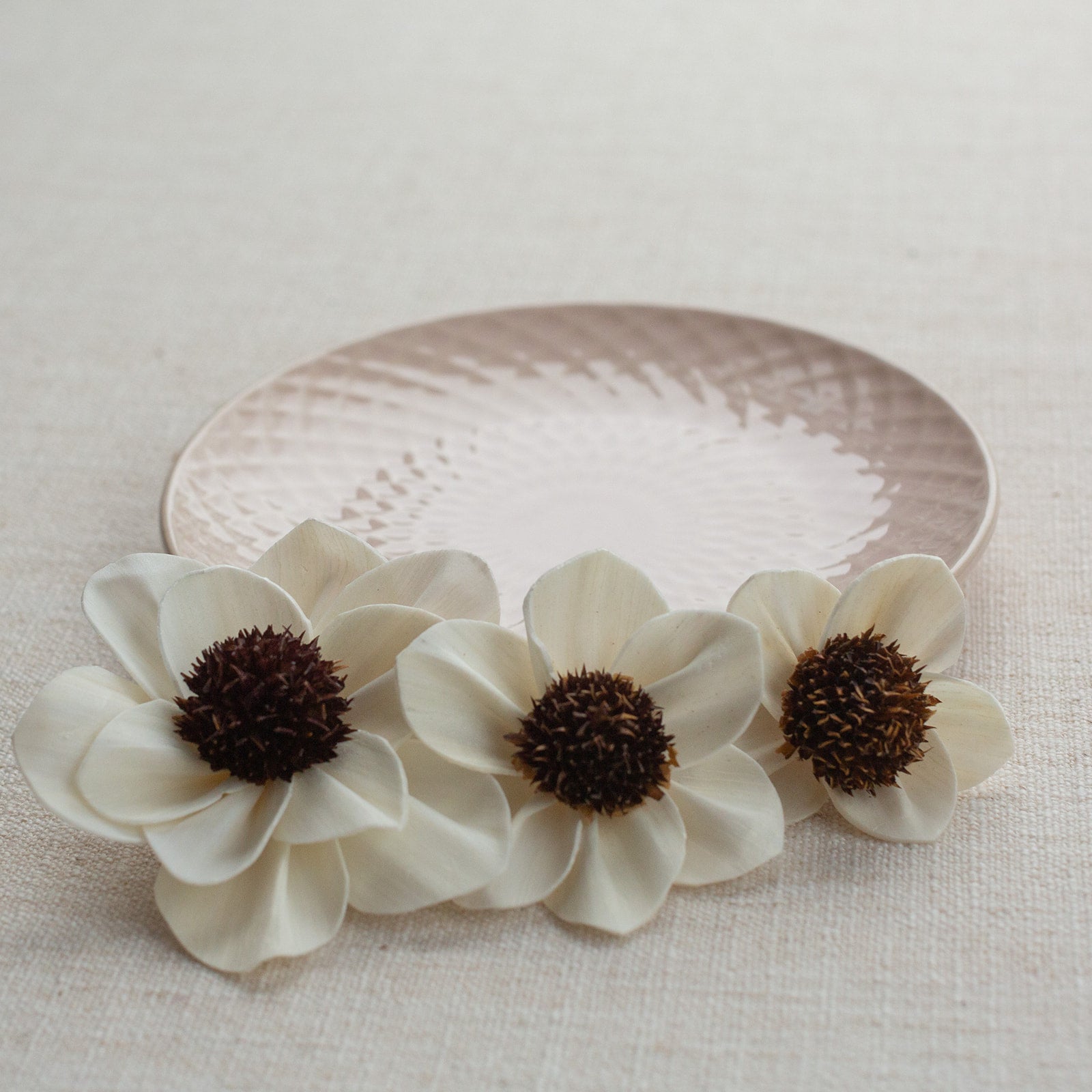 Thistle Daisy LOL – Sola Sister Co.