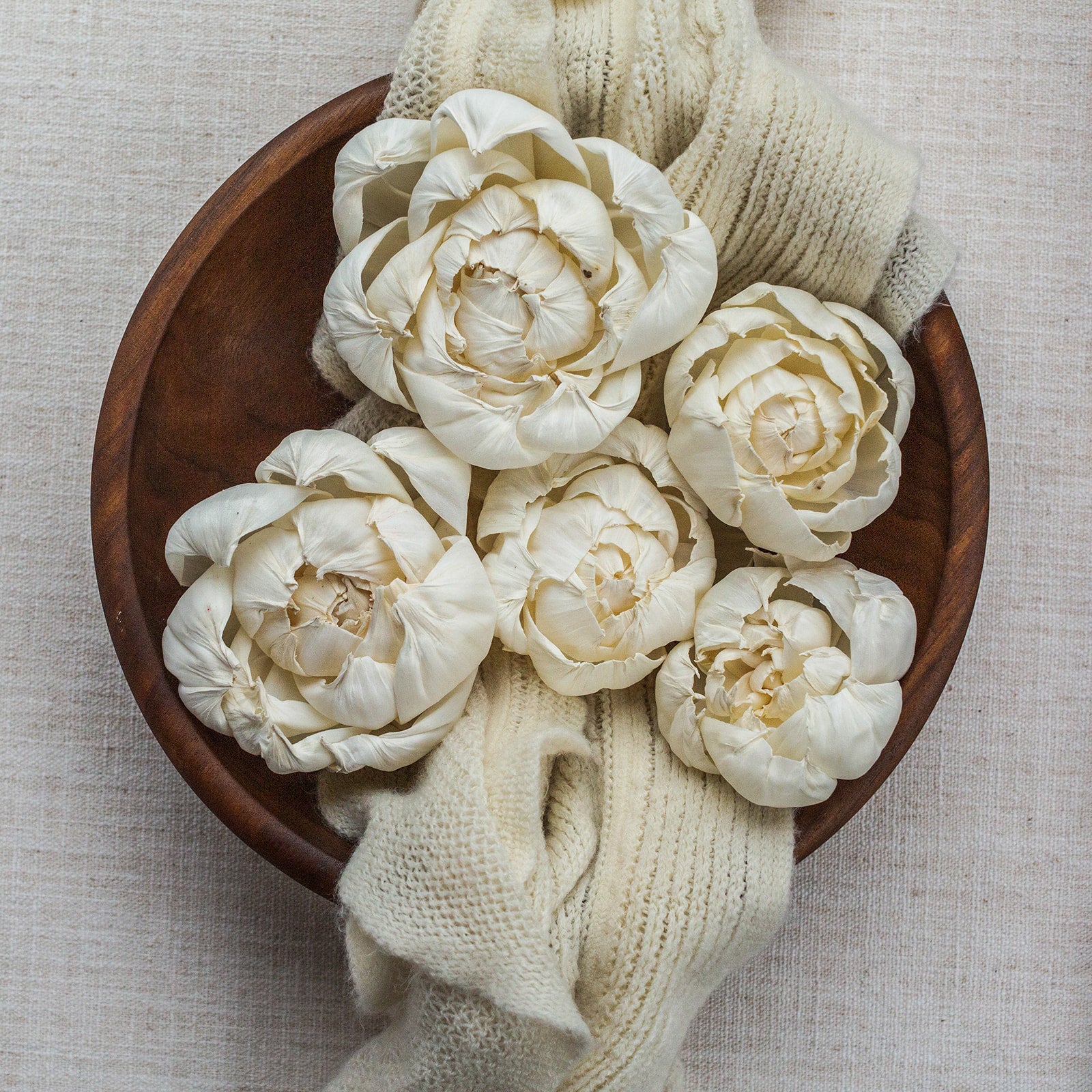 Peony Bud LOL – Sola Sister Co.