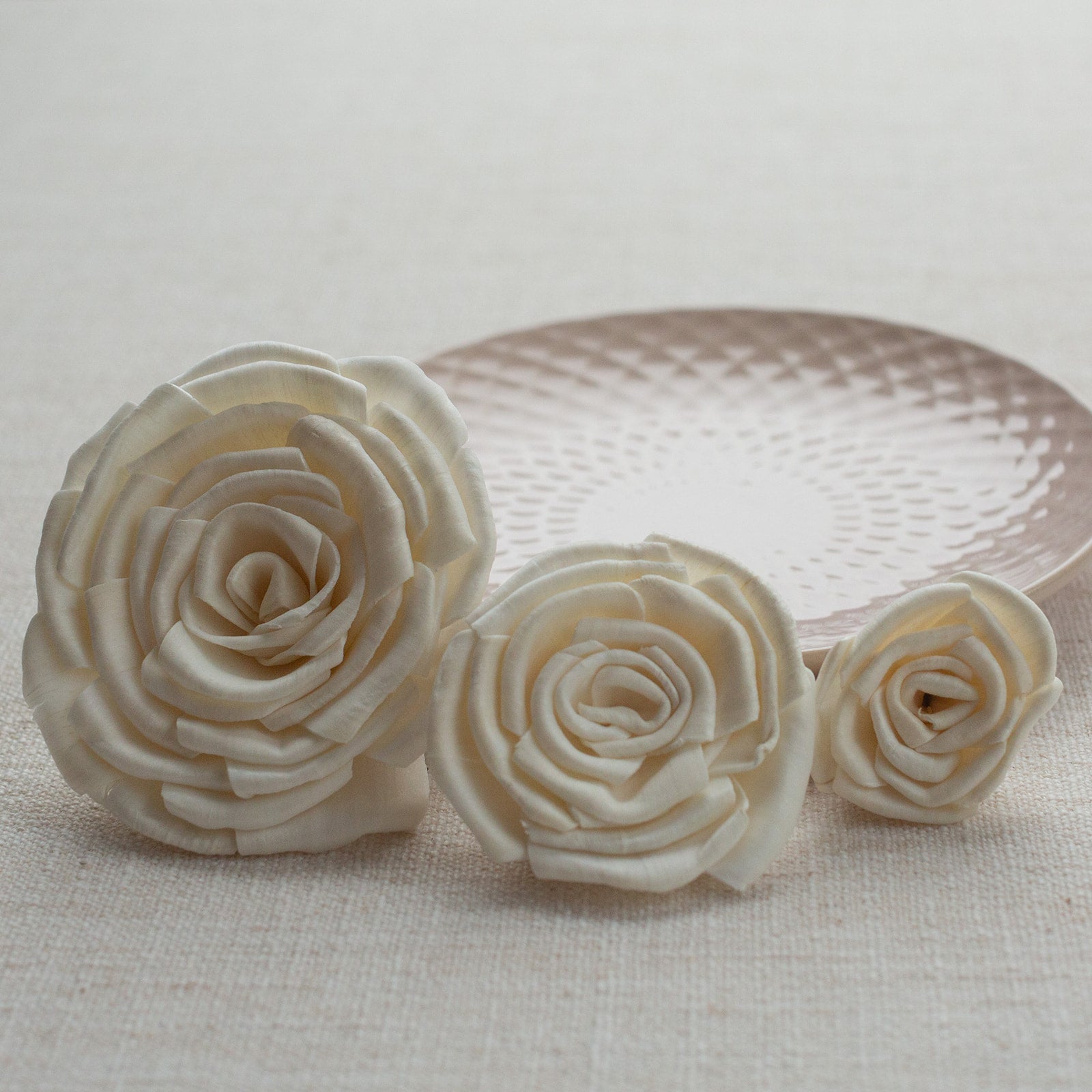 Chloe LOL – Sola Sister Co.