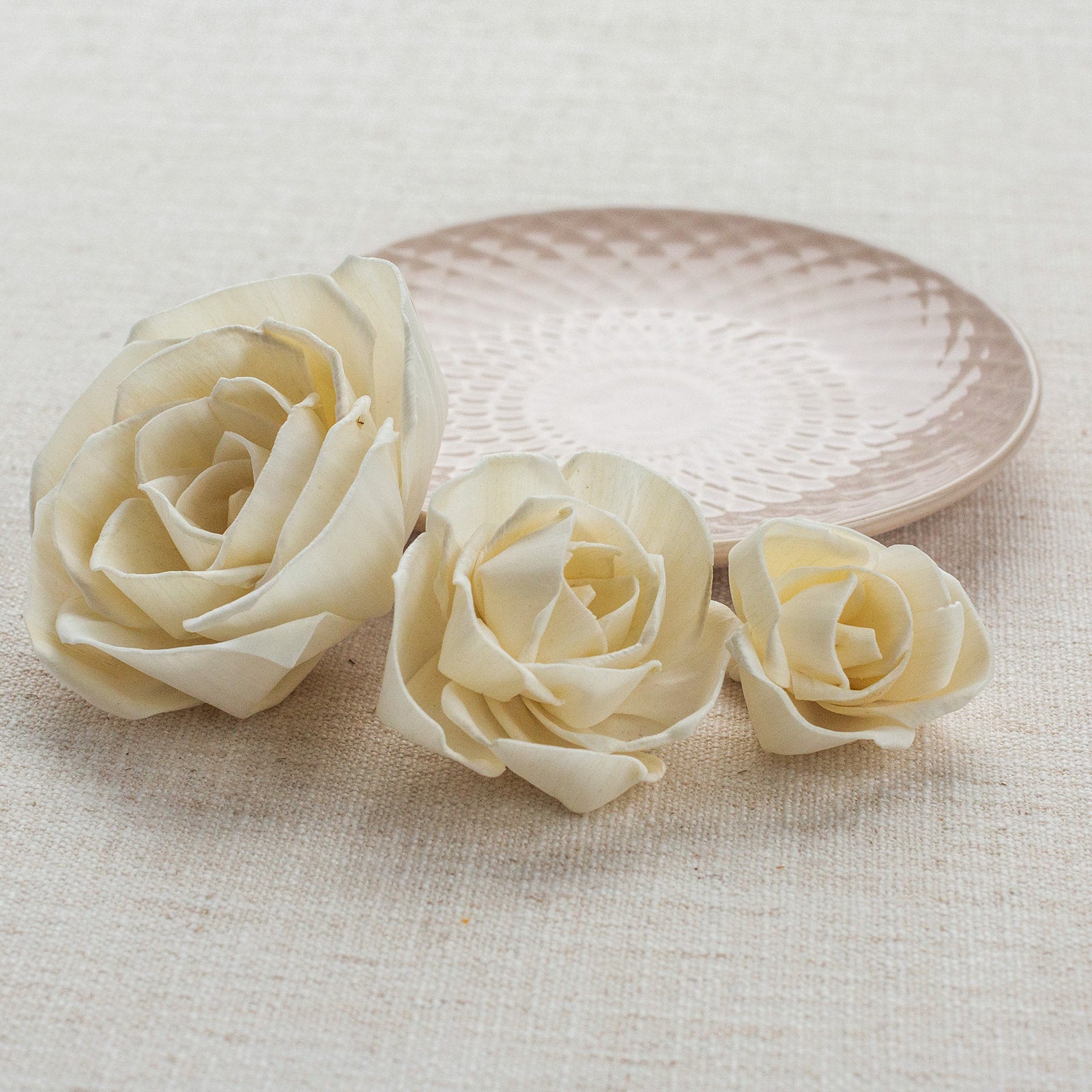 Alice LOL – Sola Sister Co.