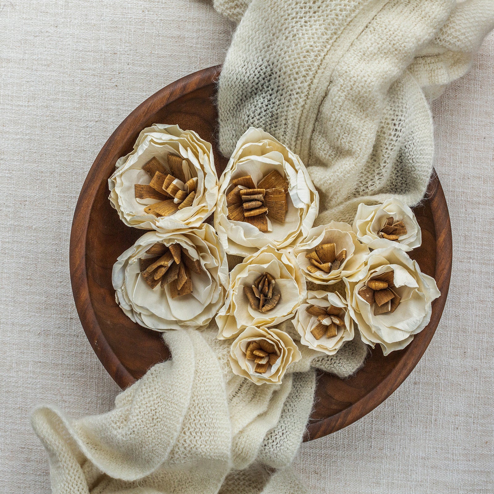 Coco Bell LOL – Sola Sister Co.